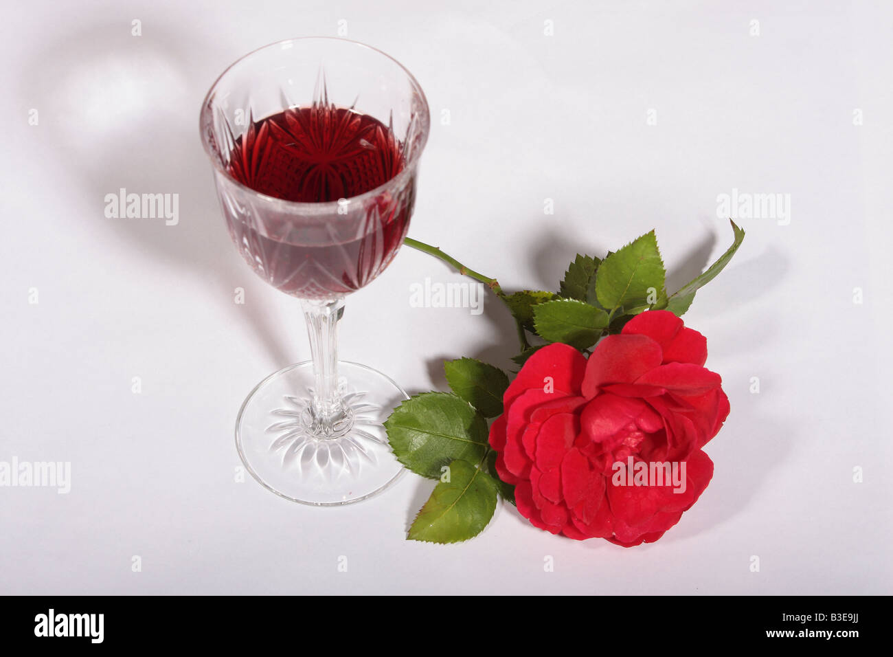 Red rose in detail glass hi-res stock photography and images - Alamy