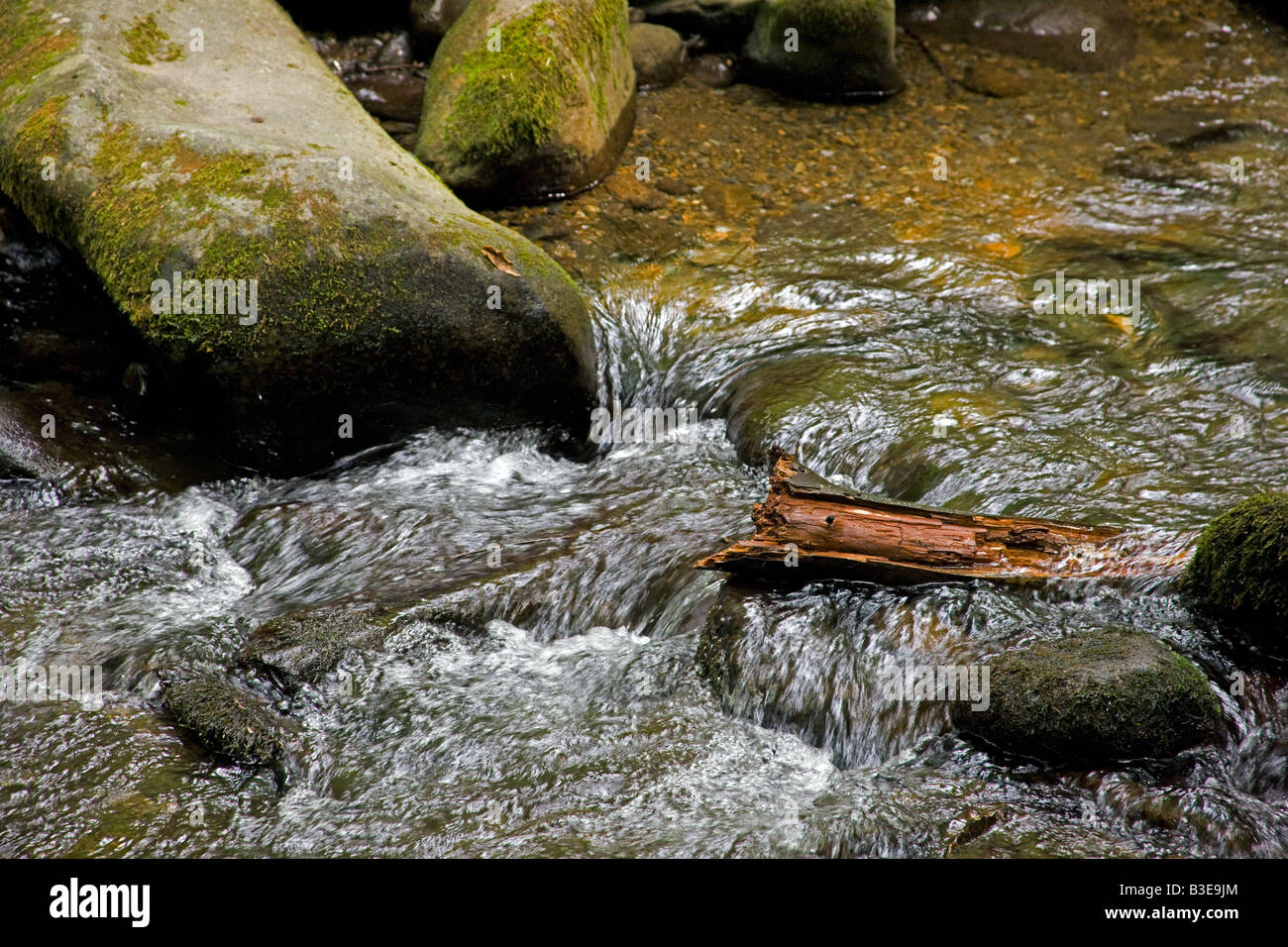 Small stream ripples hi-res stock photography and images - Alamy