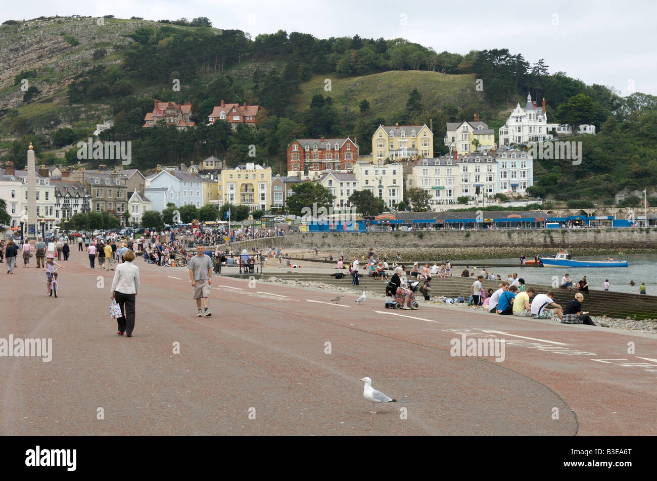 Llandudno Gwynedd Wales Promenade High Resolution Stock Photography and ...