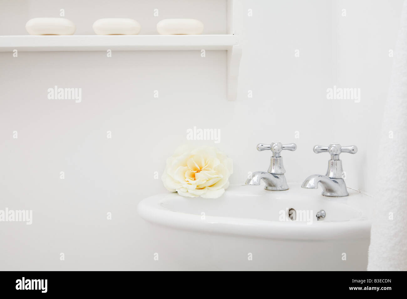 Plain Bathroom High Resolution Stock Photography and Images - Alamy