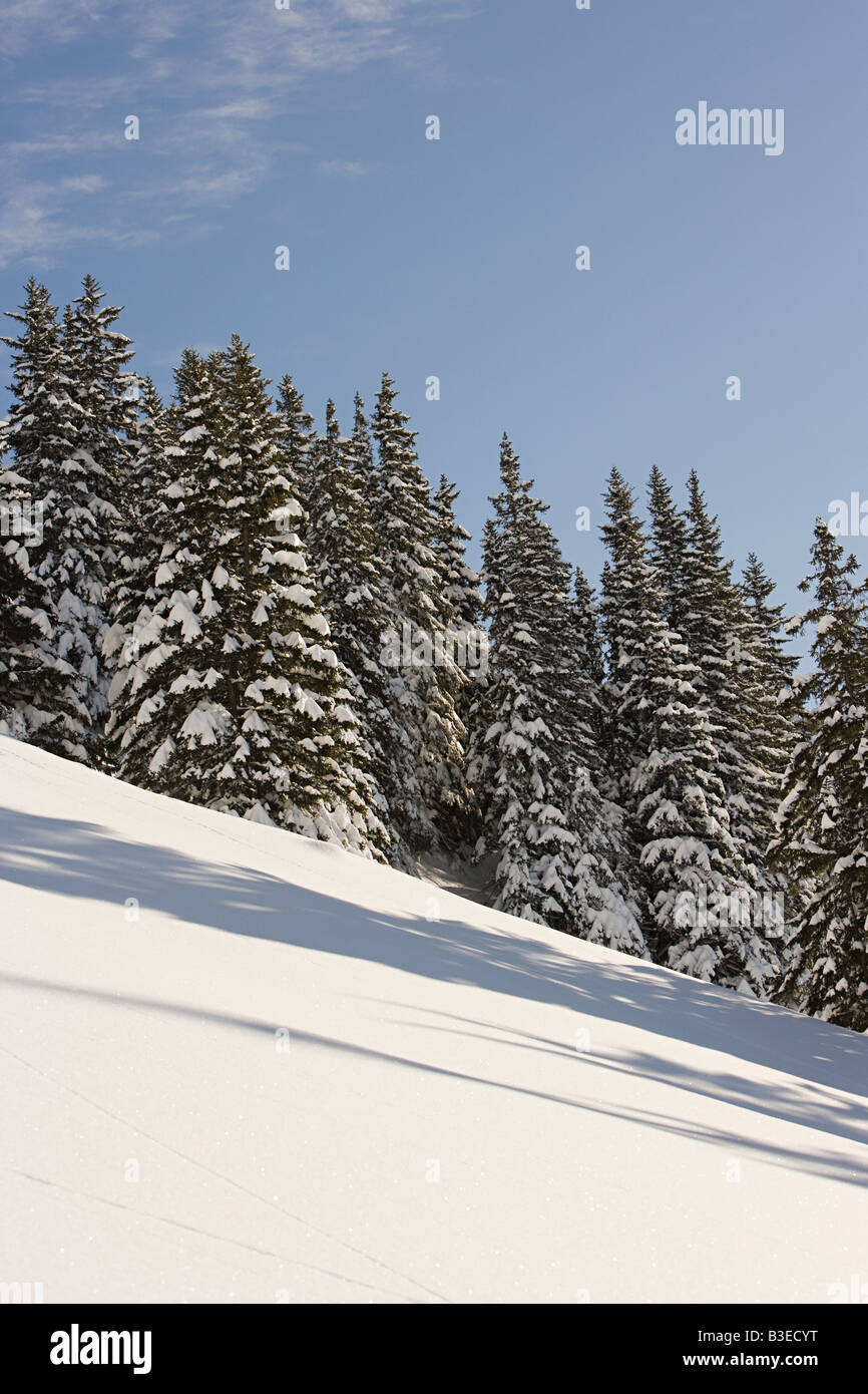 Slope hi-res stock photography and images - Alamy