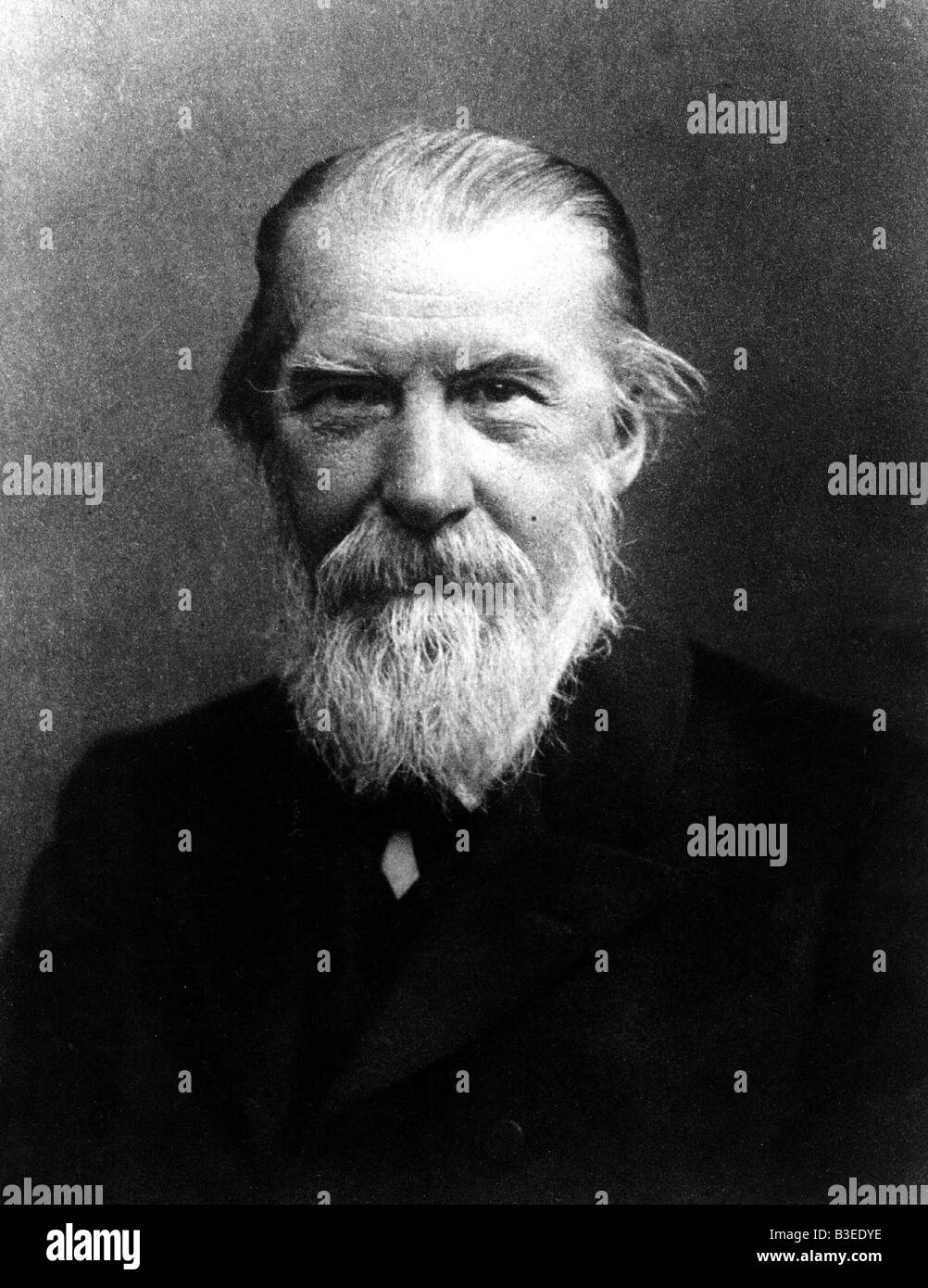 Wilhelm raabe 1831 1910 german hi-res stock photography and images - Alamy