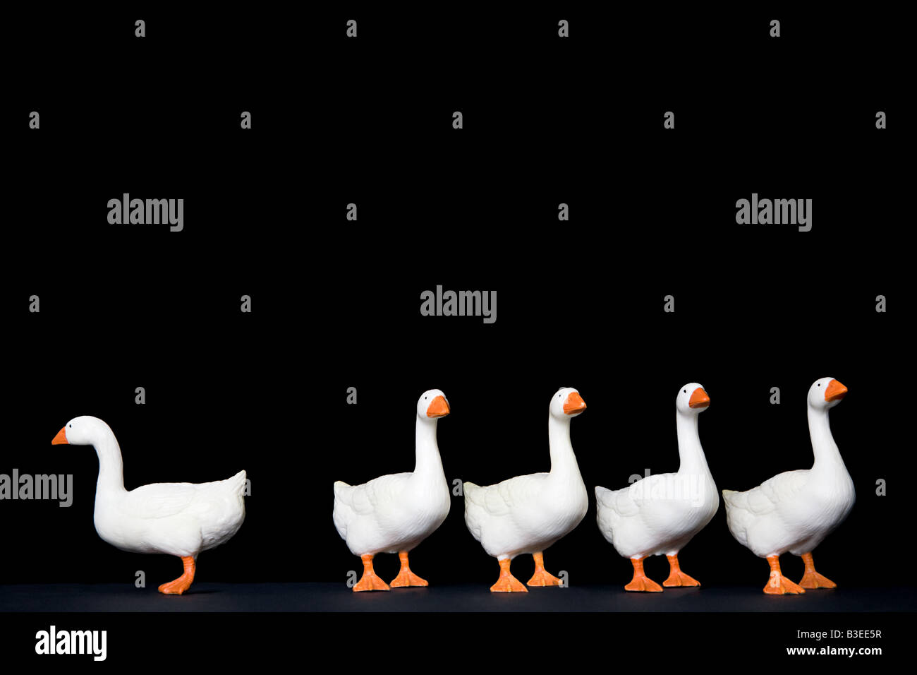 Toy goose standing out from the rest Stock Photo - Alamy