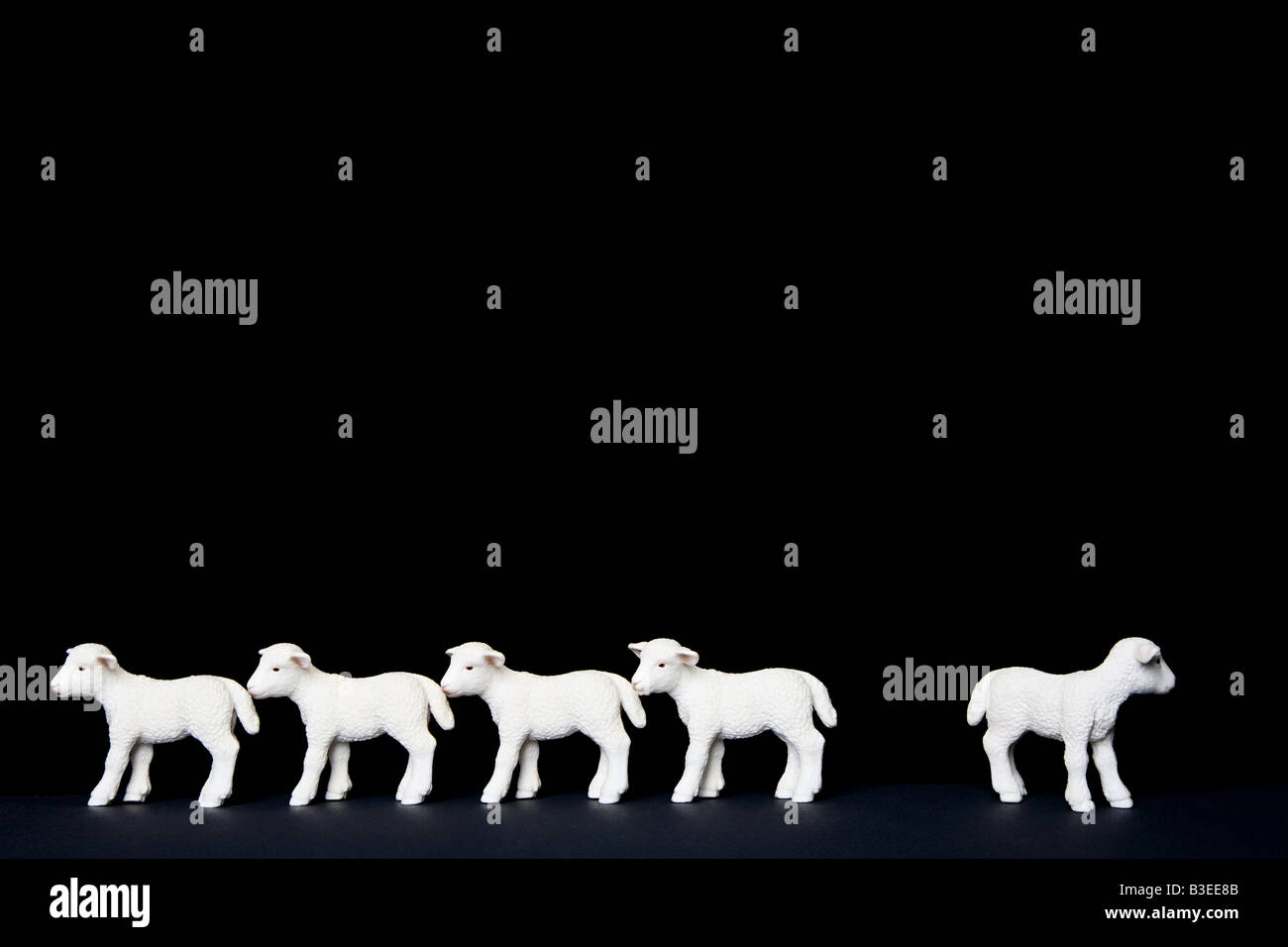 From lamb hi-res stock photography and images - Alamy