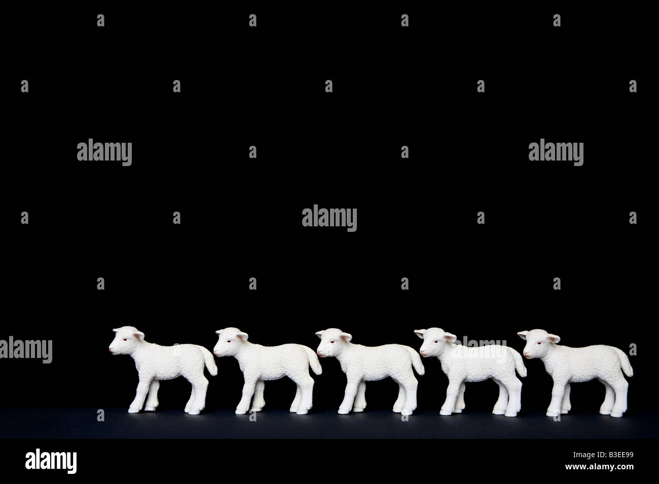 Five lambs hi-res stock photography and images - Alamy
