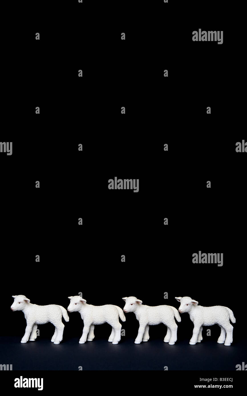 Lambs group black white hi-res stock photography and images - Alamy