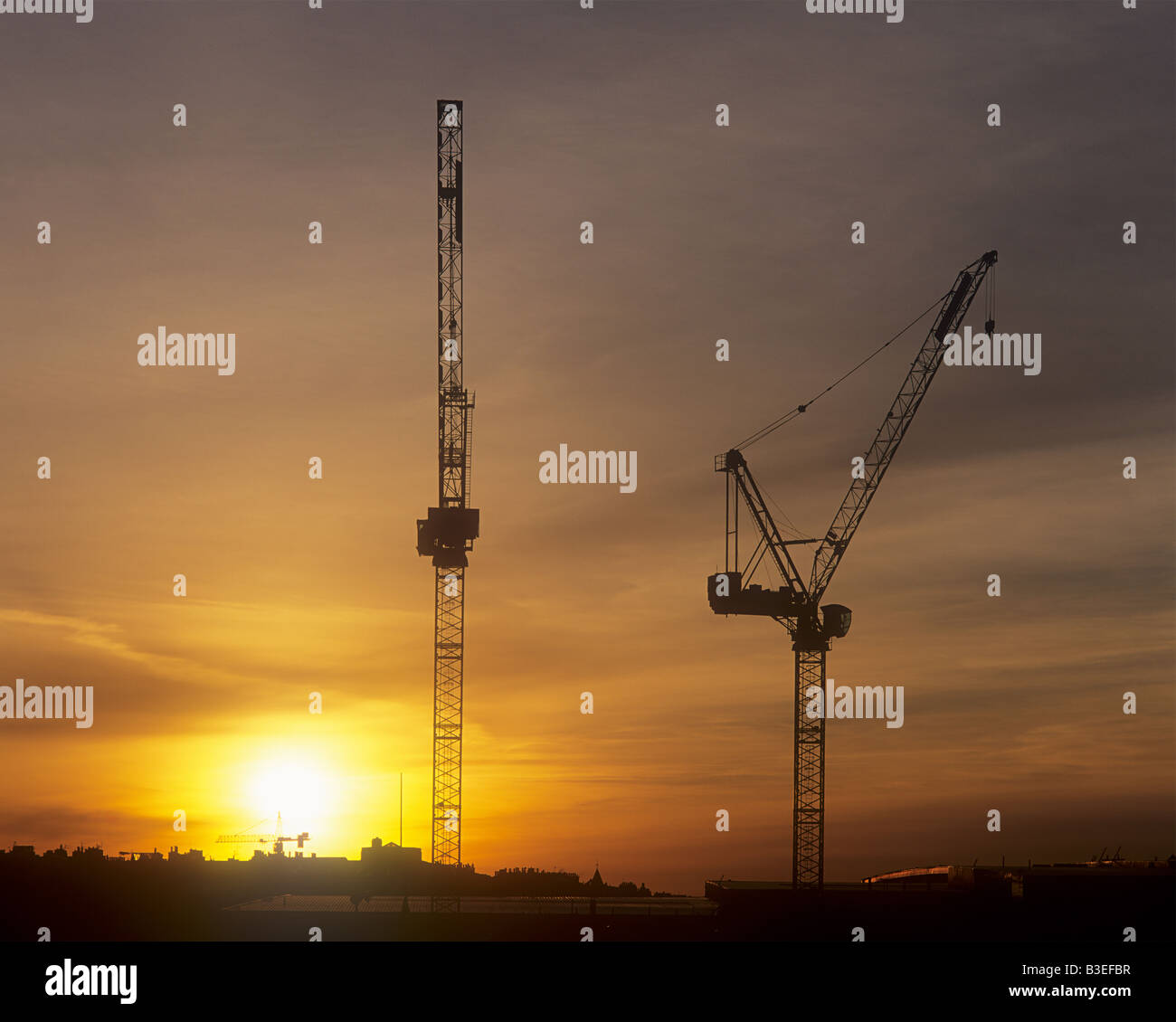 Cranes at sunset Stock Photo - Alamy