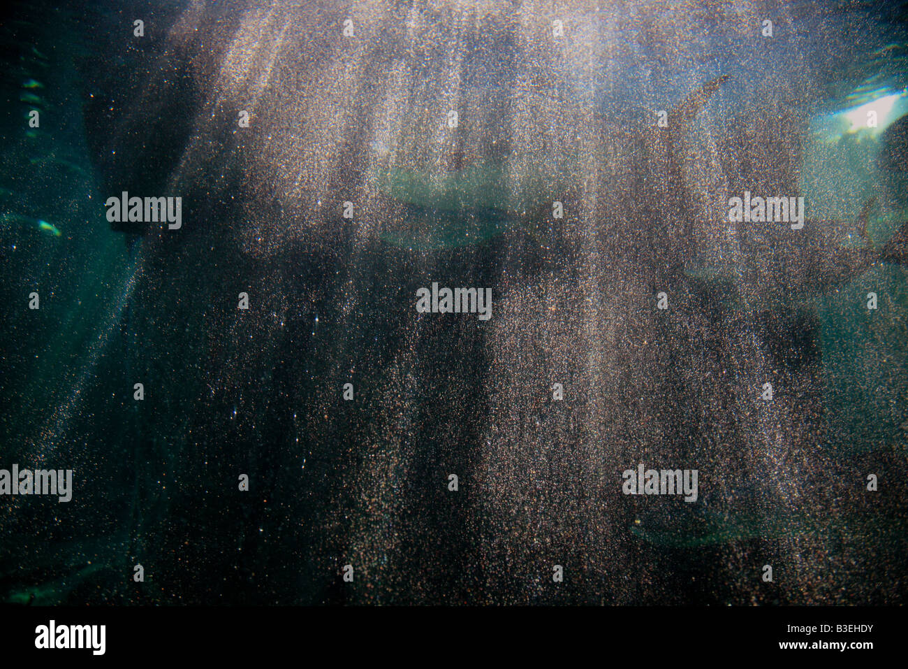 Air bubbles in an aquarium with brilliant rays of light and a school of ...