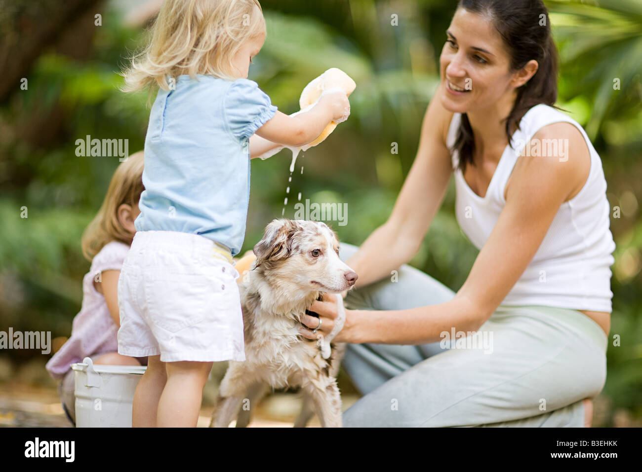 Mother and daughters washing dog Stock Photo - Alamy