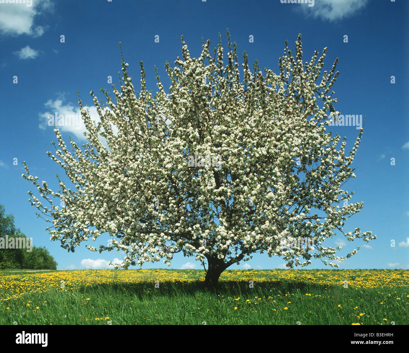 Ure time hi-res stock photography and images - Alamy