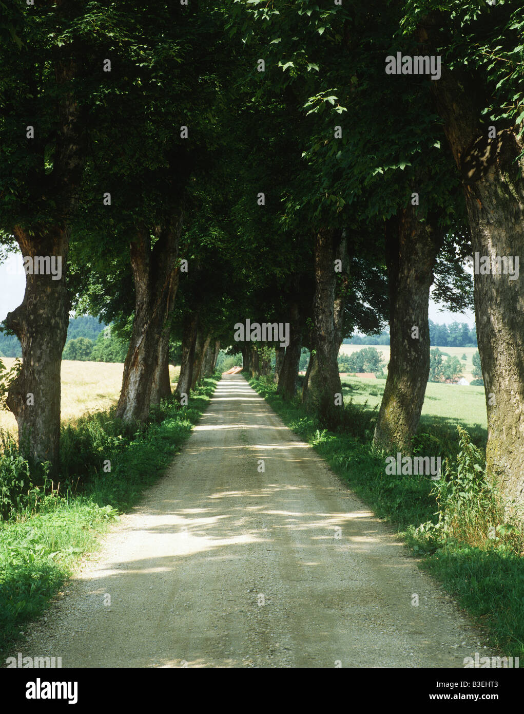 Rural street lighting hi-res stock photography and images - Alamy