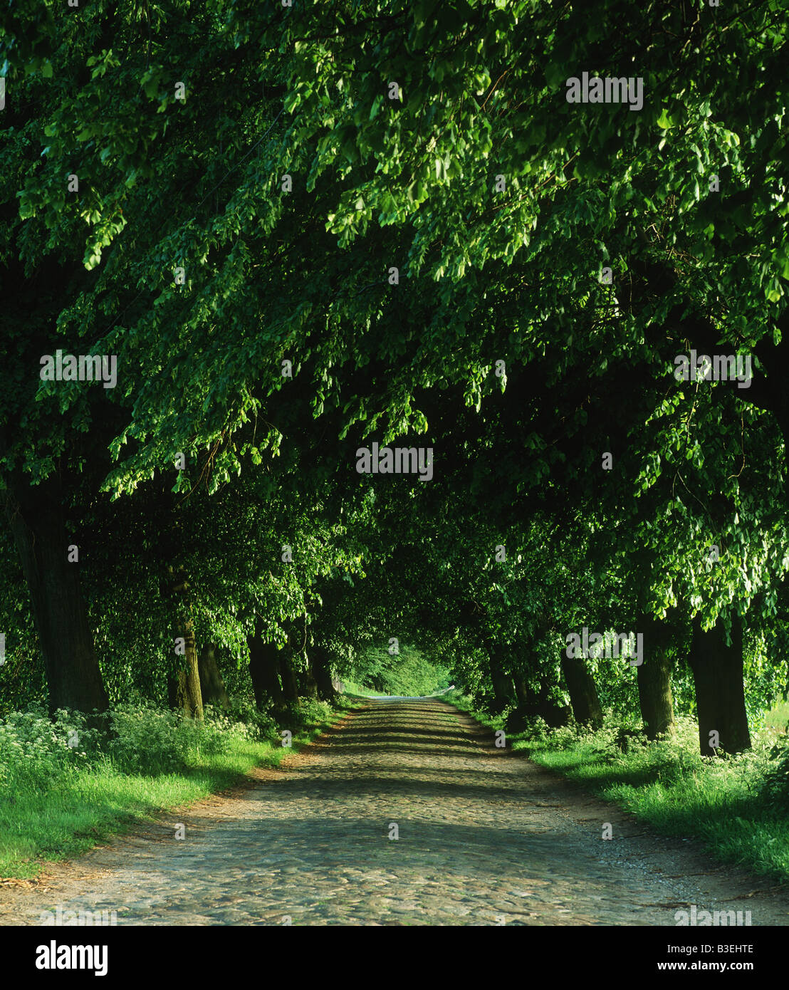 Rural street lighting hi-res stock photography and images - Alamy