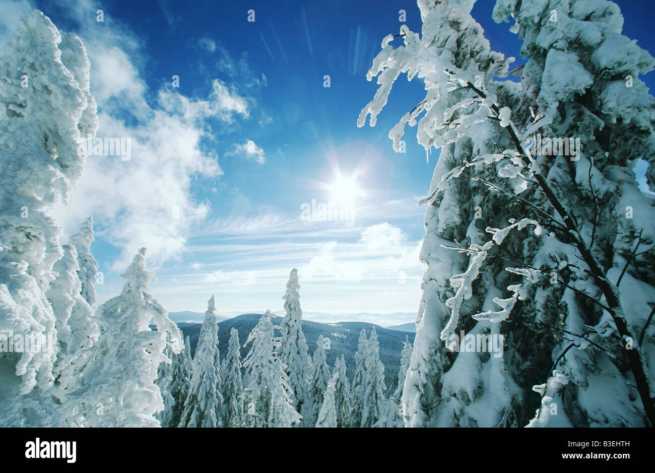 Beautiful winter scene Stock Photo - Alamy