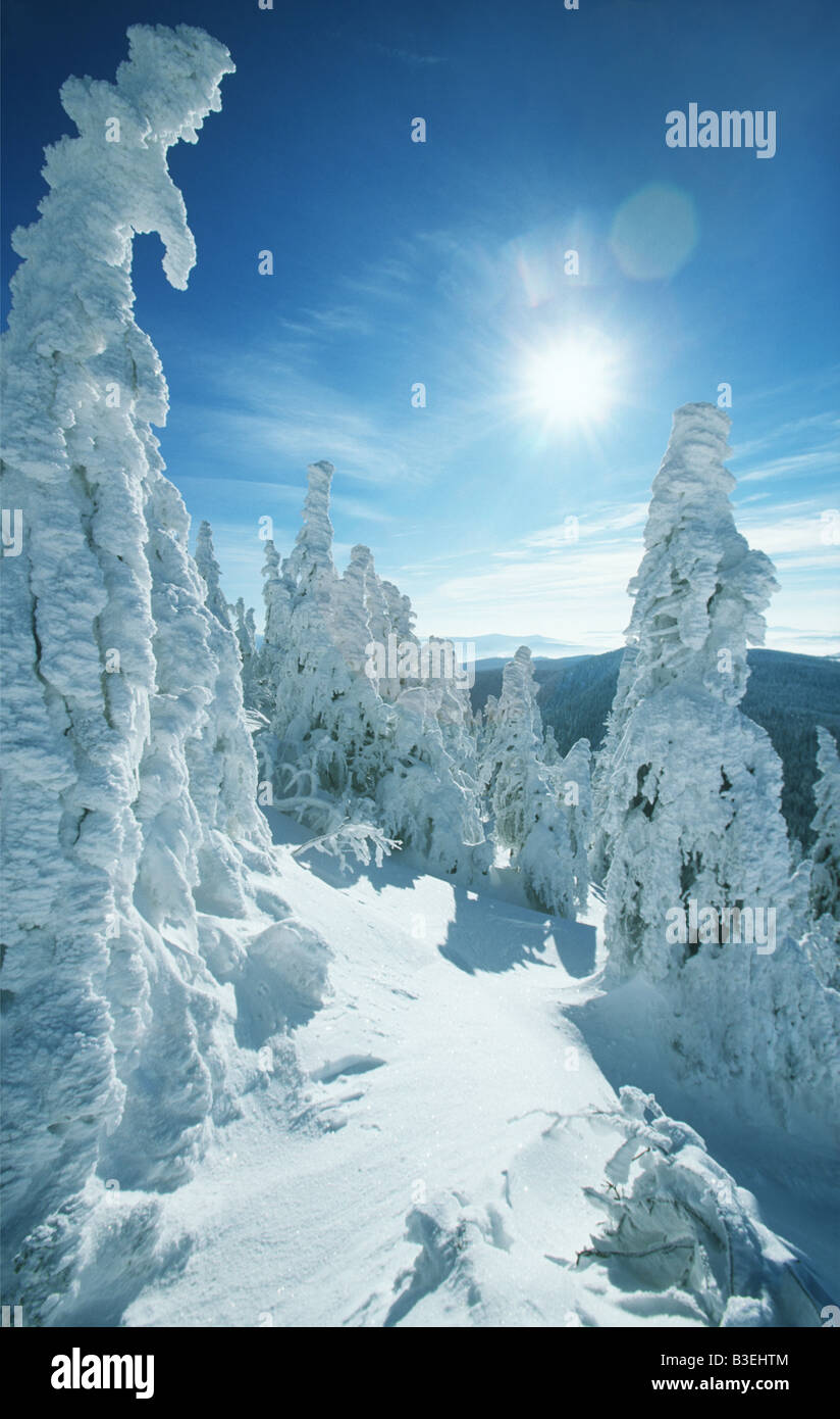 Beautiful winter scene Stock Photo - Alamy