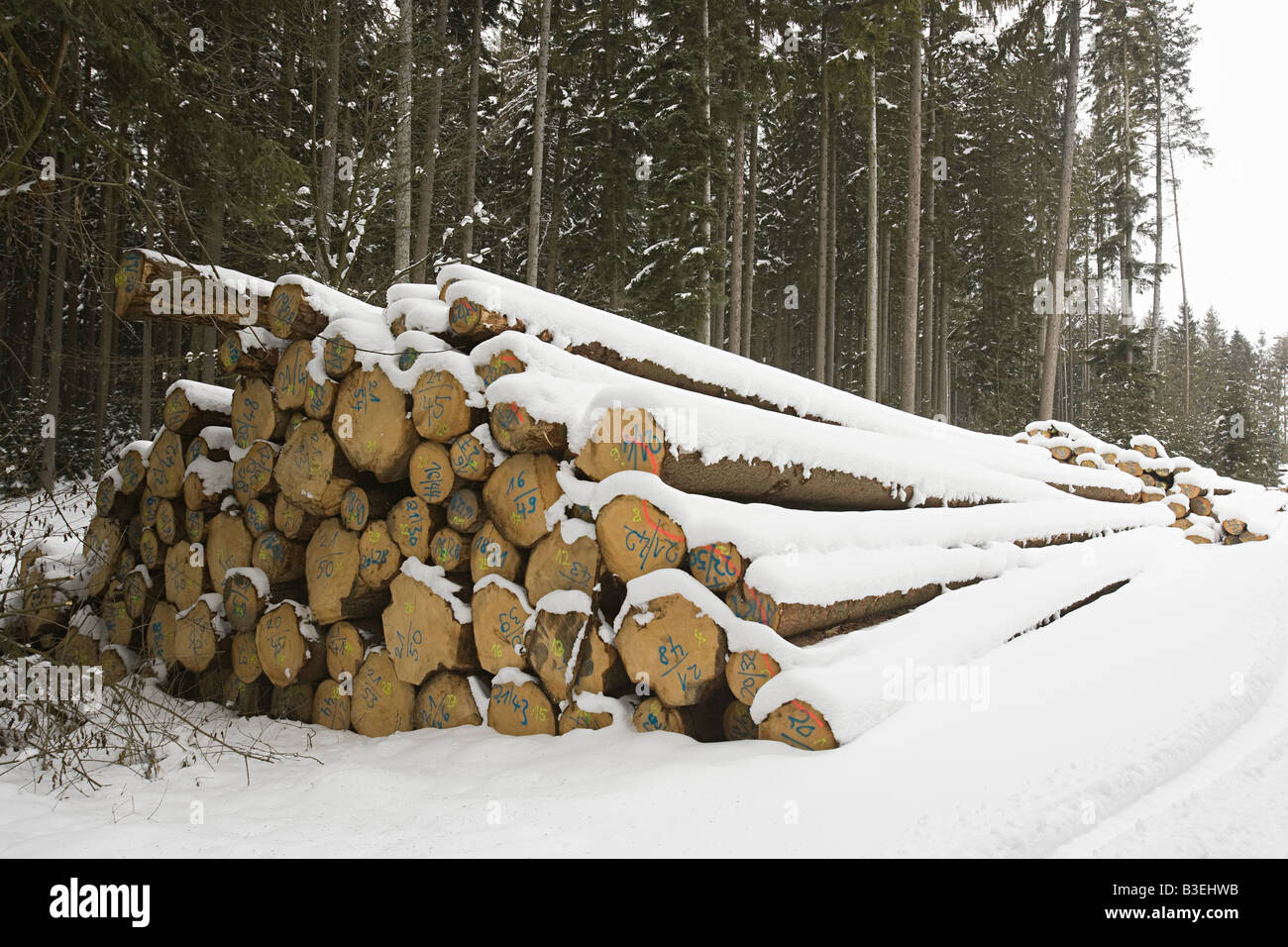 Logs covered snow cold temperature hi-res stock photography and images ...