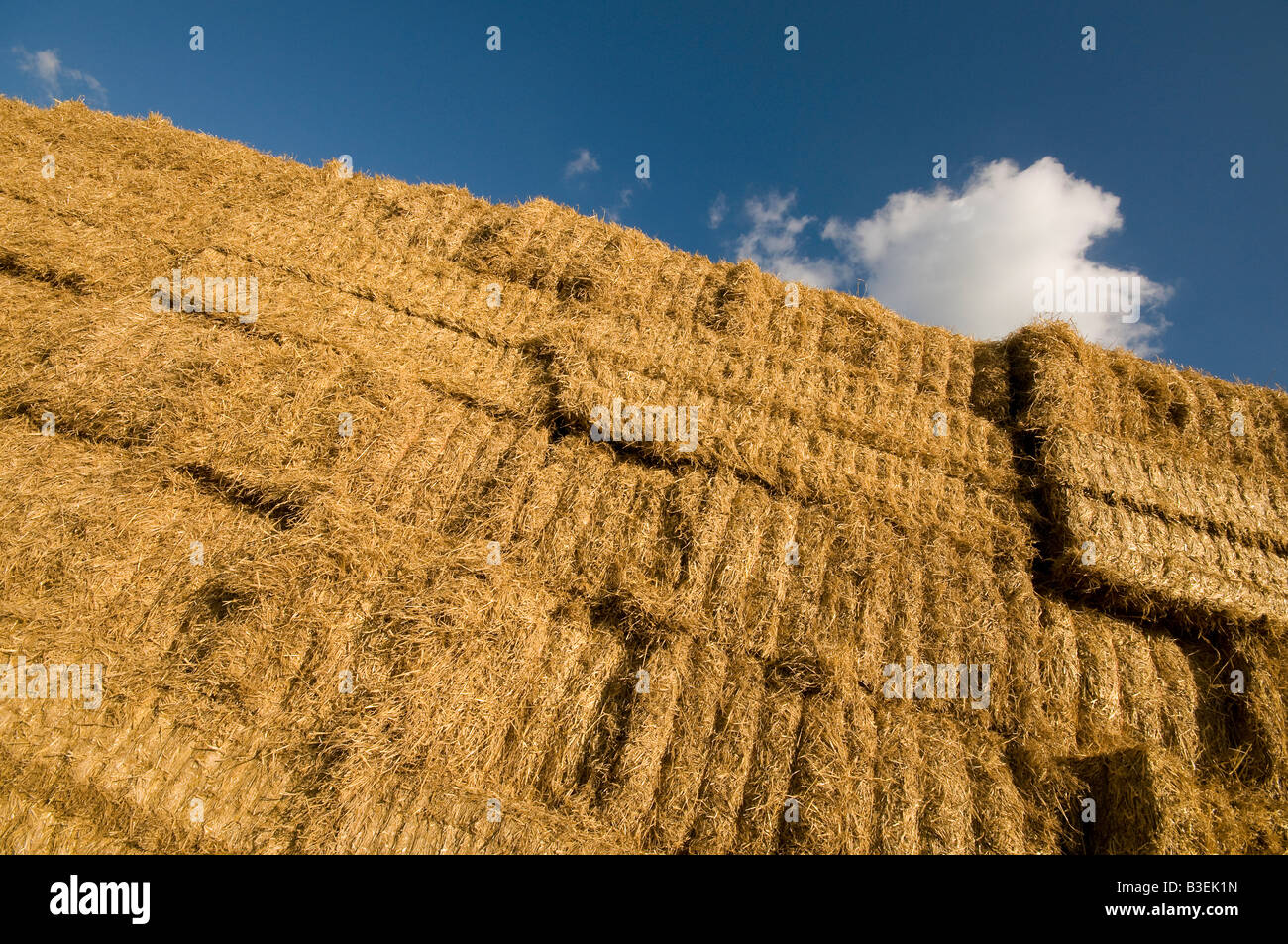 massive haystack against blue sky Stock Photo - Alamy