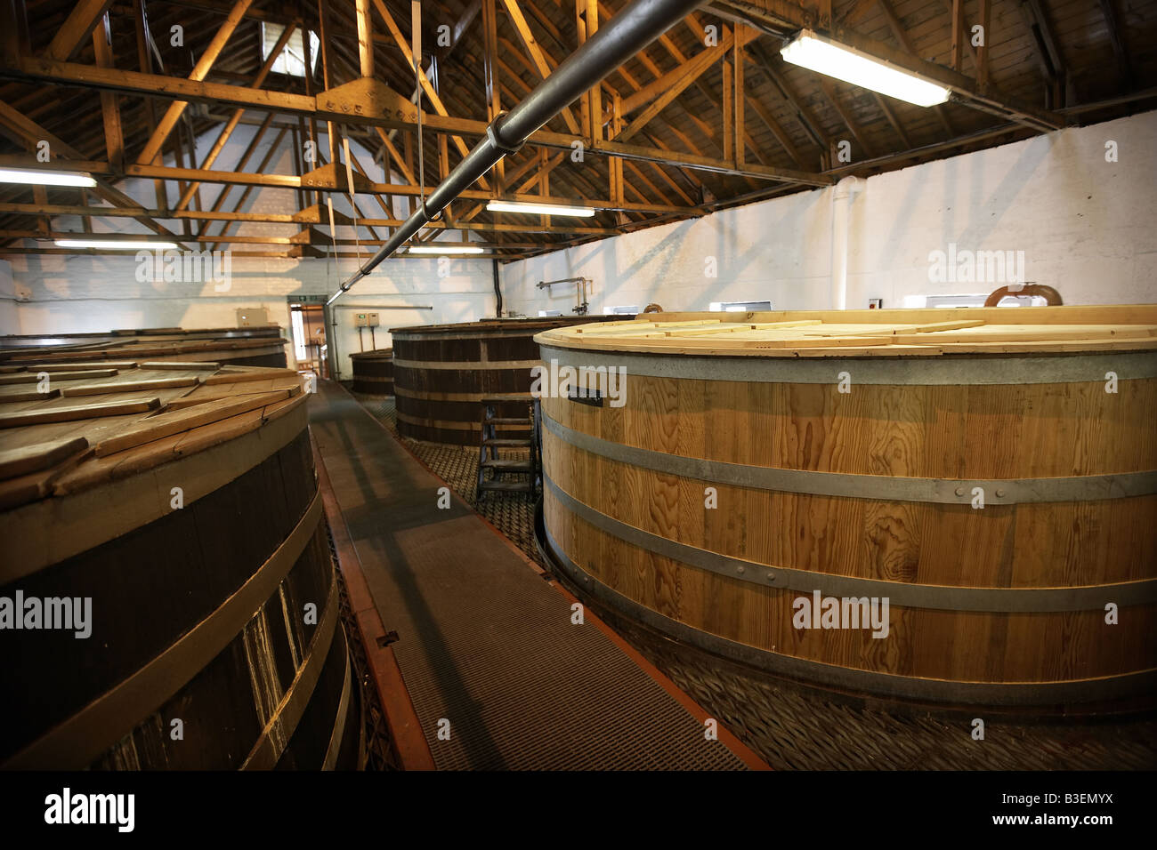 Fermenation Barrels Bruichladdich Whisky Distillery Hi Res Stock