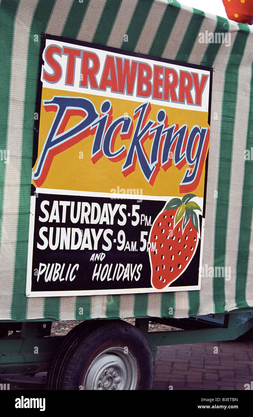 Stellenbosch, South Africa, signs, illustration, Strawberry picking ...