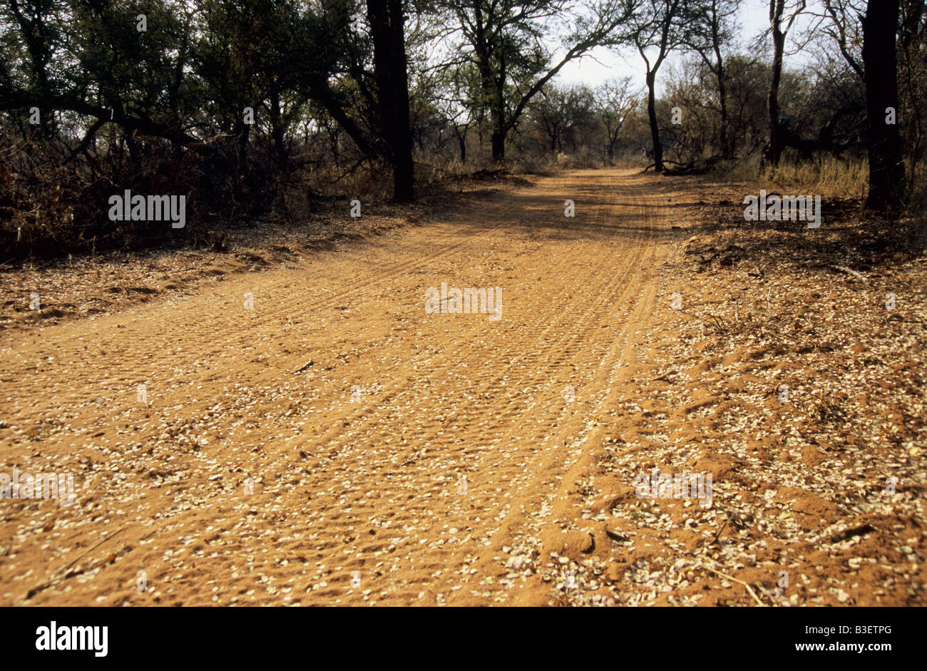 4x4 off road dirt track through African Savannah bush adventure travel ...