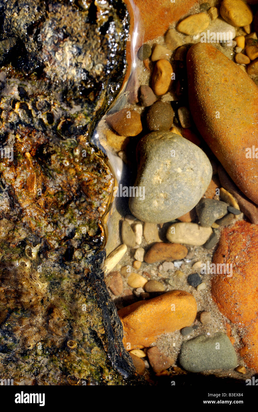 Rusty pool hi-res stock photography and images - Alamy