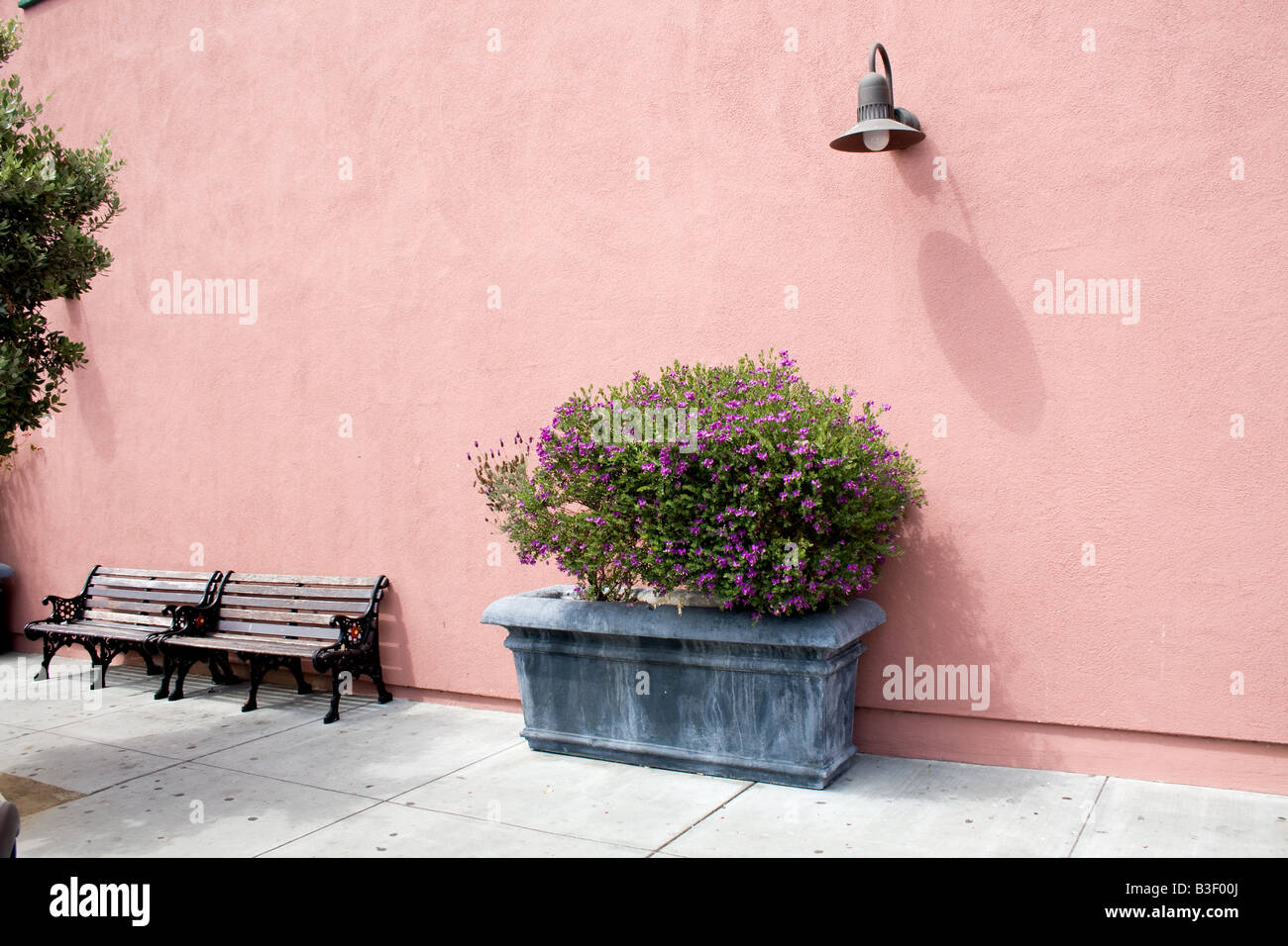 Small bush in a planter underneath a light next to a bench in Half Moon ...