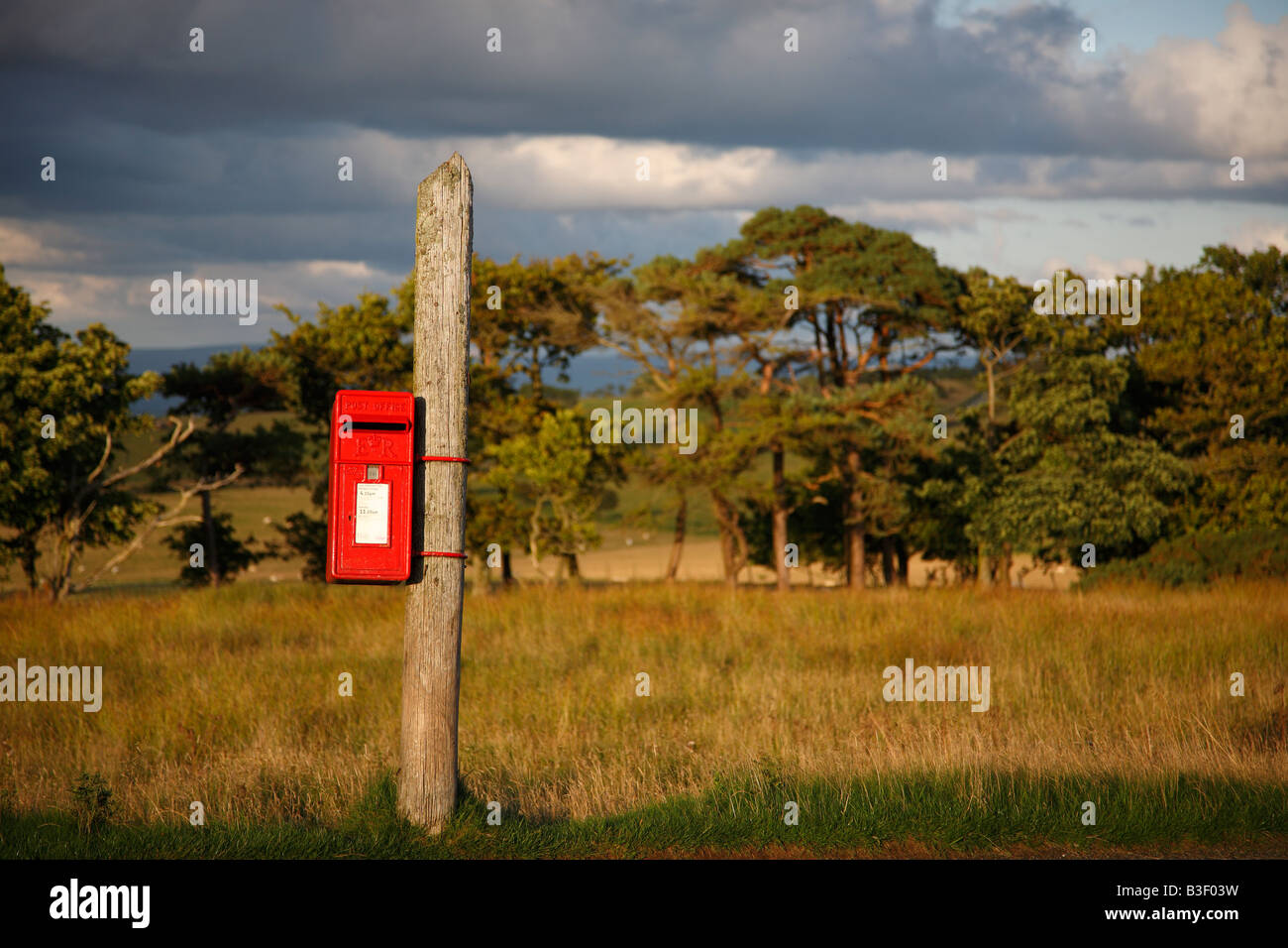 Red post box on a pole in the countryside, lit by golden evening light ...