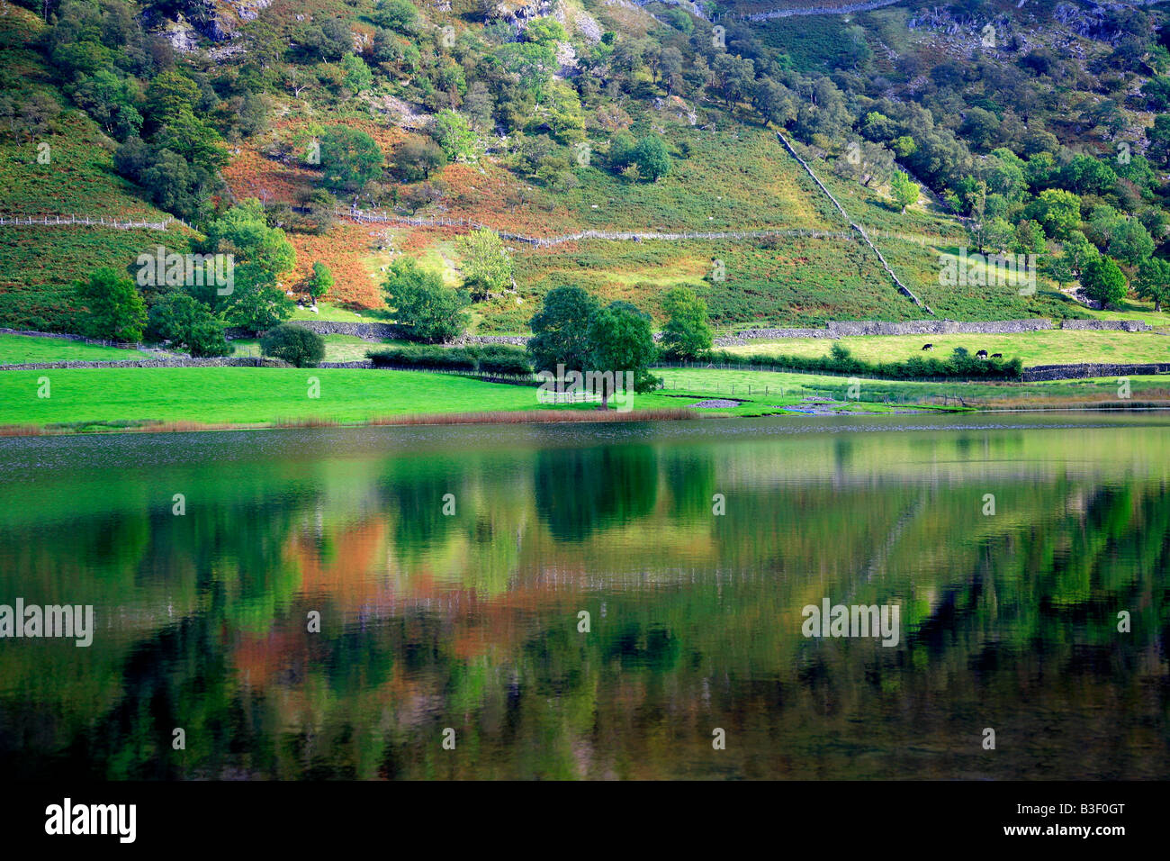 Watendlath Tarn Landscape Reflection Lake District National Park ...