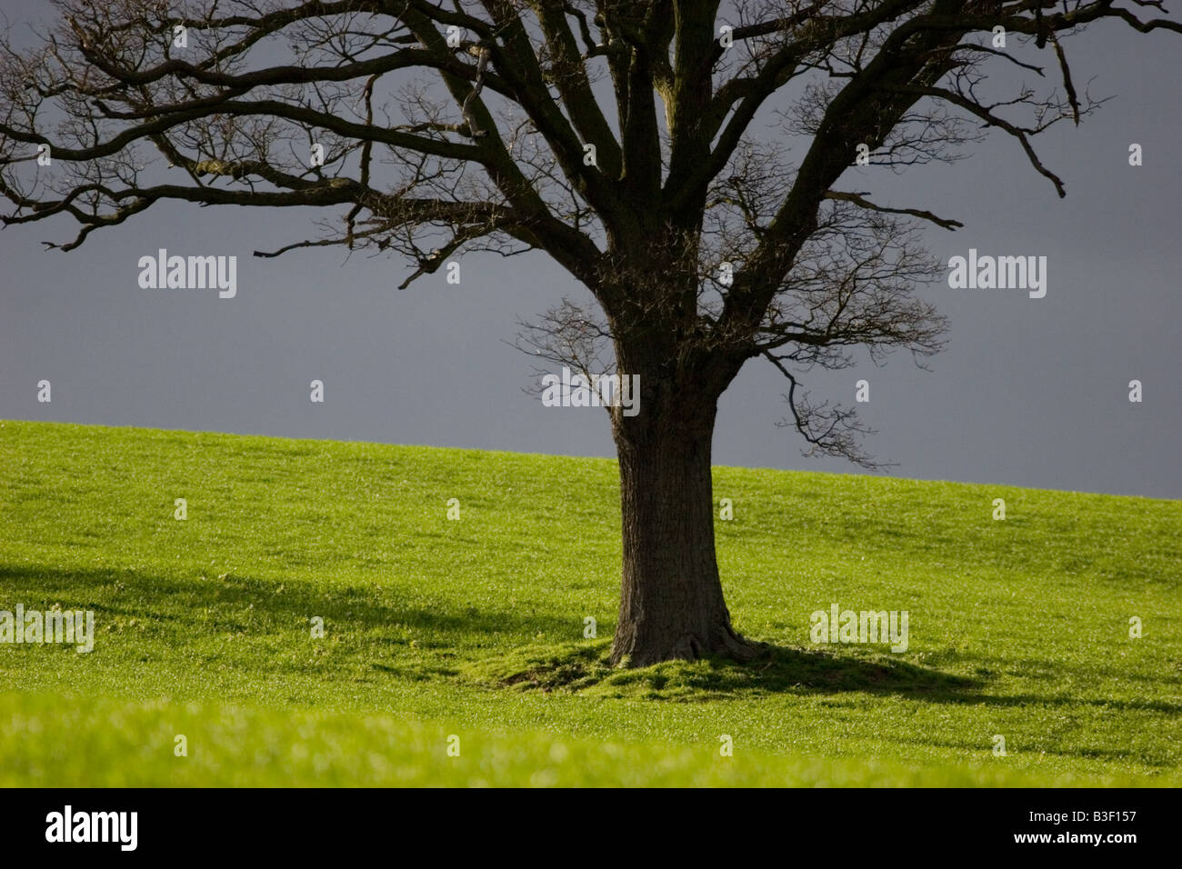 Storm england hi-res stock photography and images - Alamy