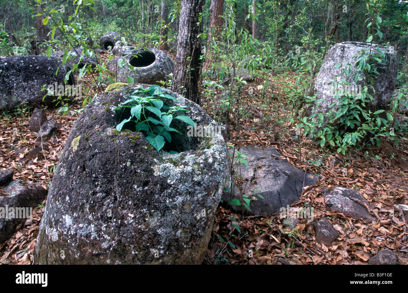 Prehistoric jars at the Ban Phakeo, the largest jar field discovered at ...