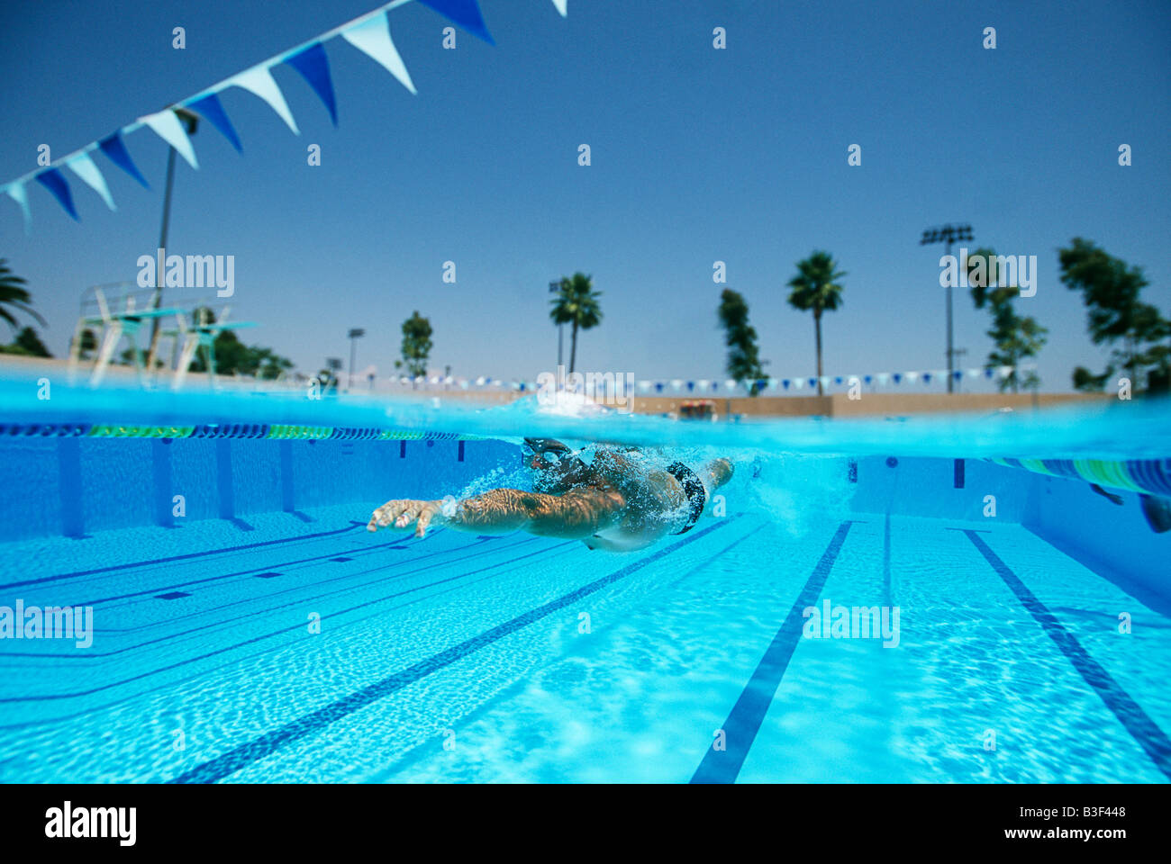 Male swimmer in pool, surface view Stock Photo - Alamy