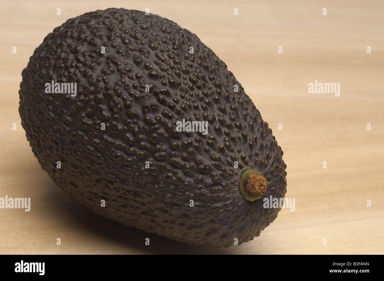 Studio shot of avocado Stock Photo - Alamy