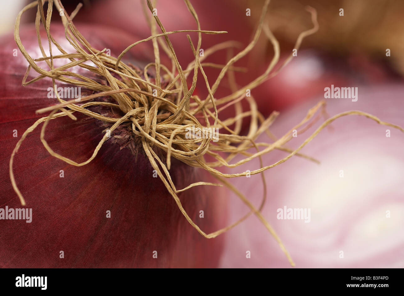 Red onion, close-up Stock Photo - Alamy