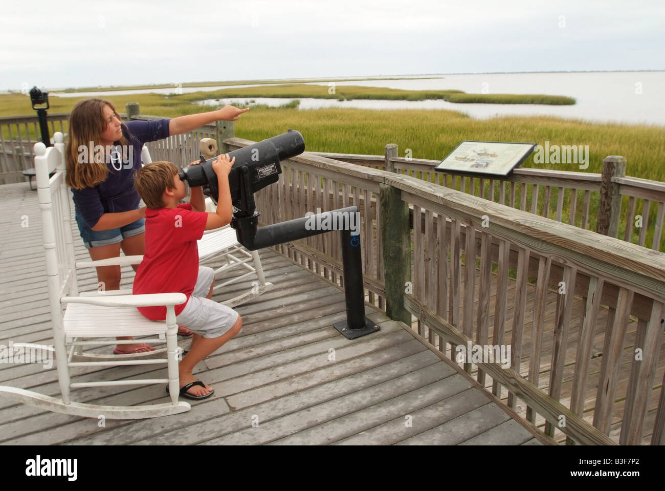 USA Virginia Assateague Island salt marsh Tom s Cove visitors learn ...