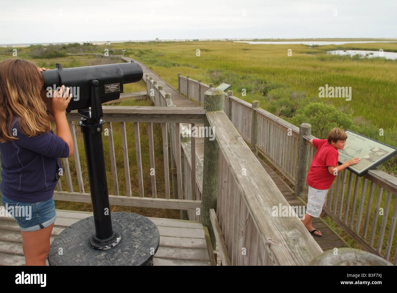 USA Virginia Assateague Island salt marsh Tom s Cove visitors learn ...
