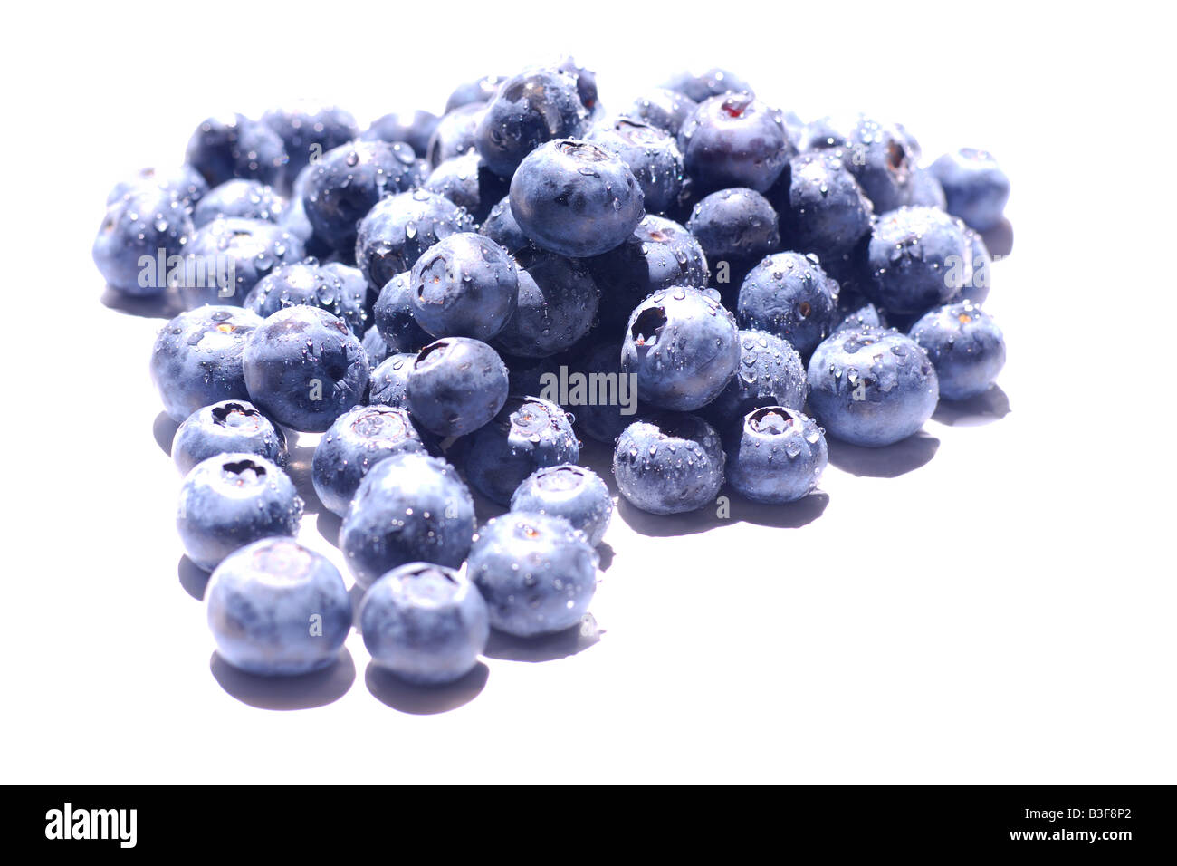 Lowbush blueberry Cut Out Stock Images & Pictures - Alamy