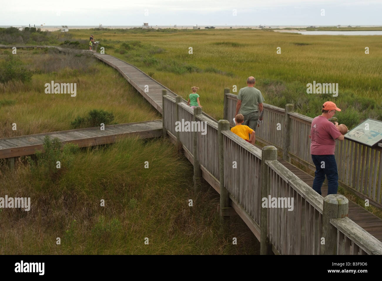 USA Virginia Assateague Island salt marsh Tom s Cove visitors learn ...
