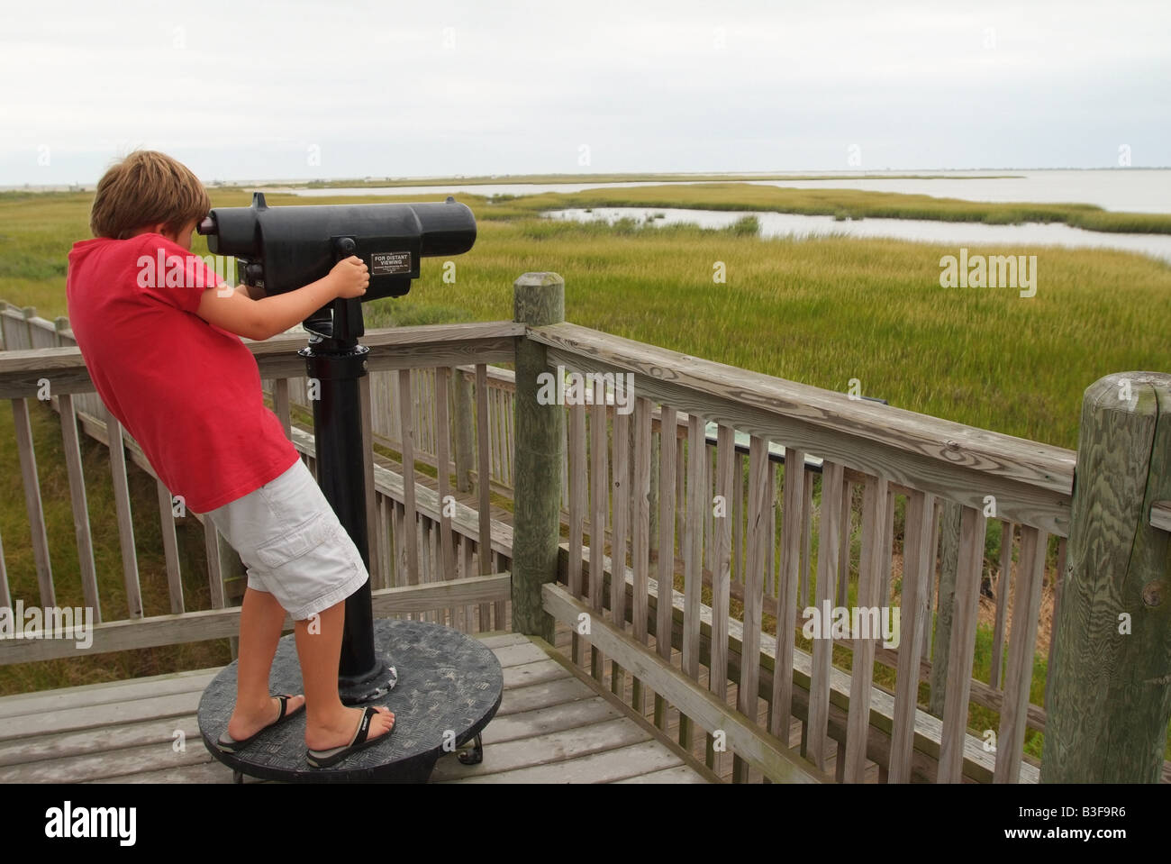 USA Virginia Assateague Island salt marsh Tom s Cove visitors learn ...