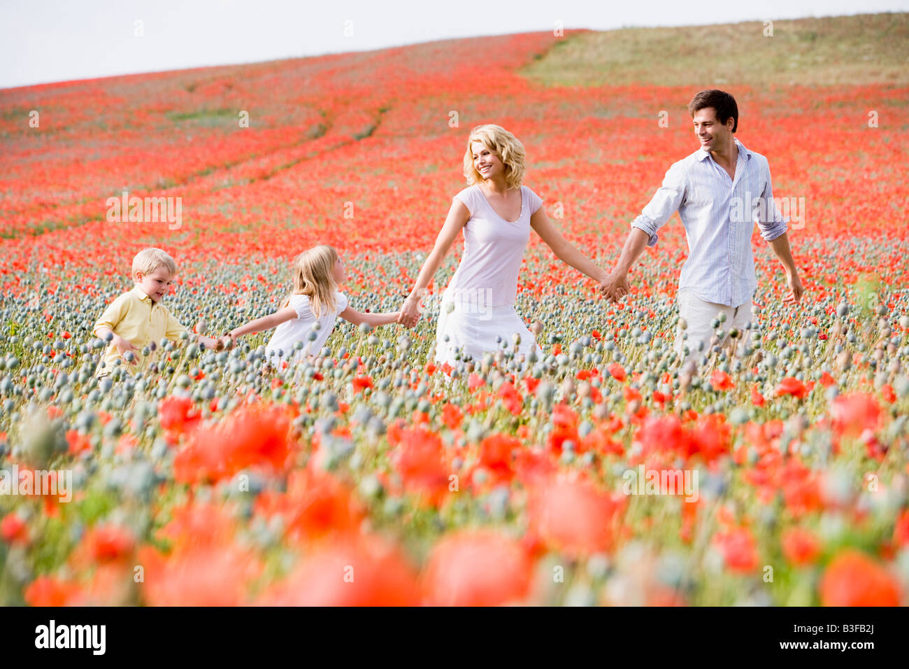 Family walking in poppy field holding hands smiling Stock Photo - Alamy