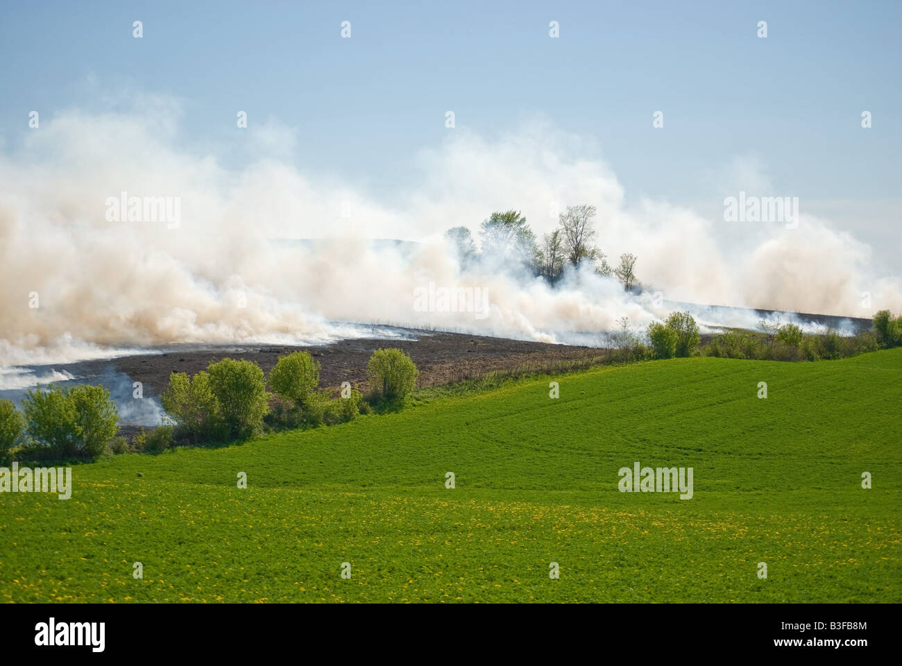 Farmland on fire Stock Photo - Alamy