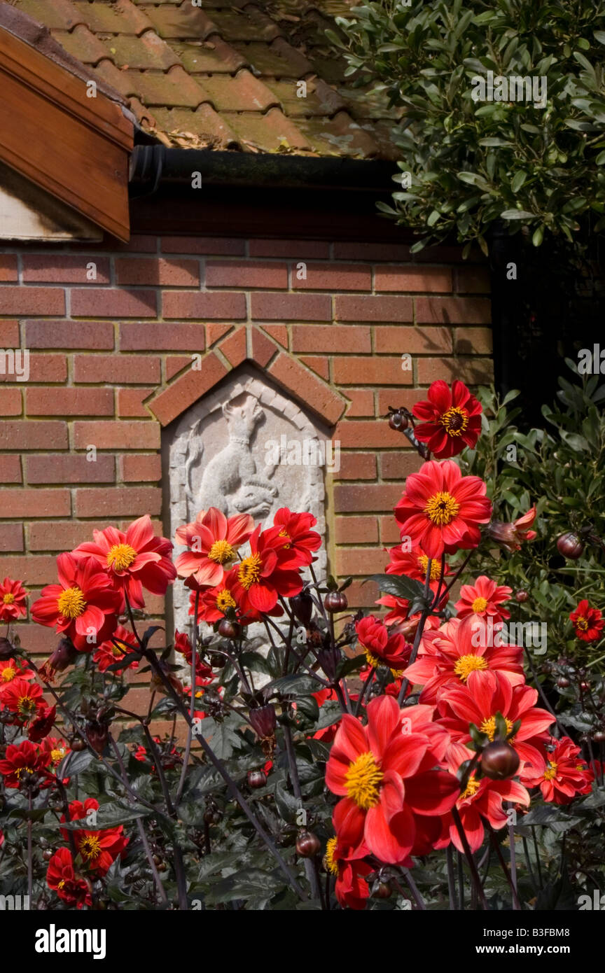 Logan gardens galloway hi-res stock photography and images - Alamy