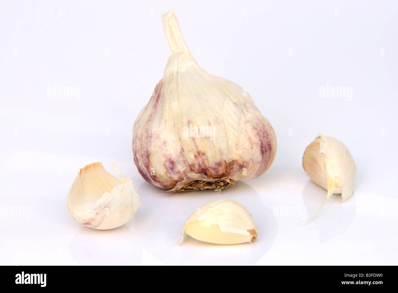dry garlic bulb isolated with small reflection Stock Photo - Alamy