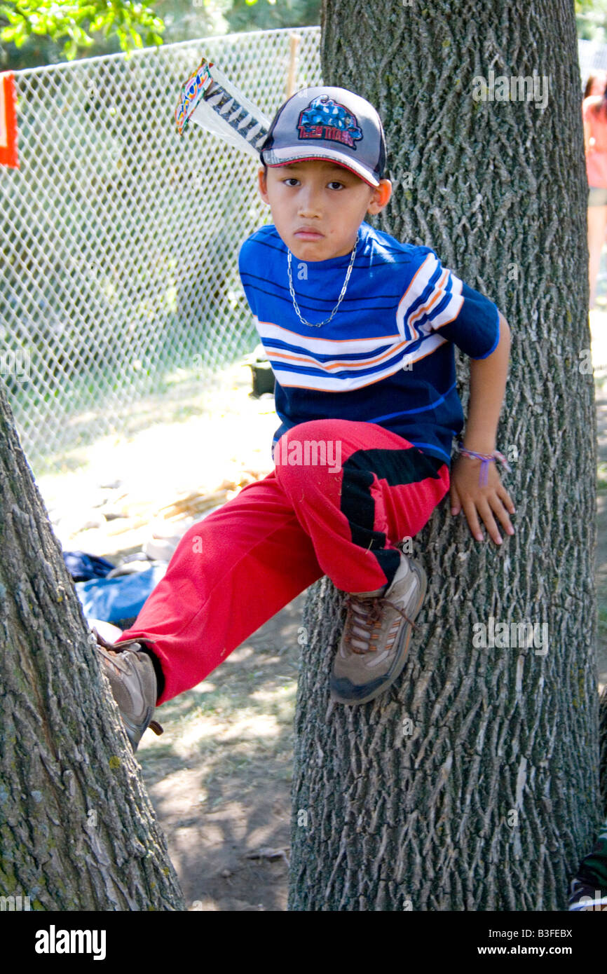 Hmong boy age 8 sitting in tree. Hmong Sports Festival McMurray Field ...