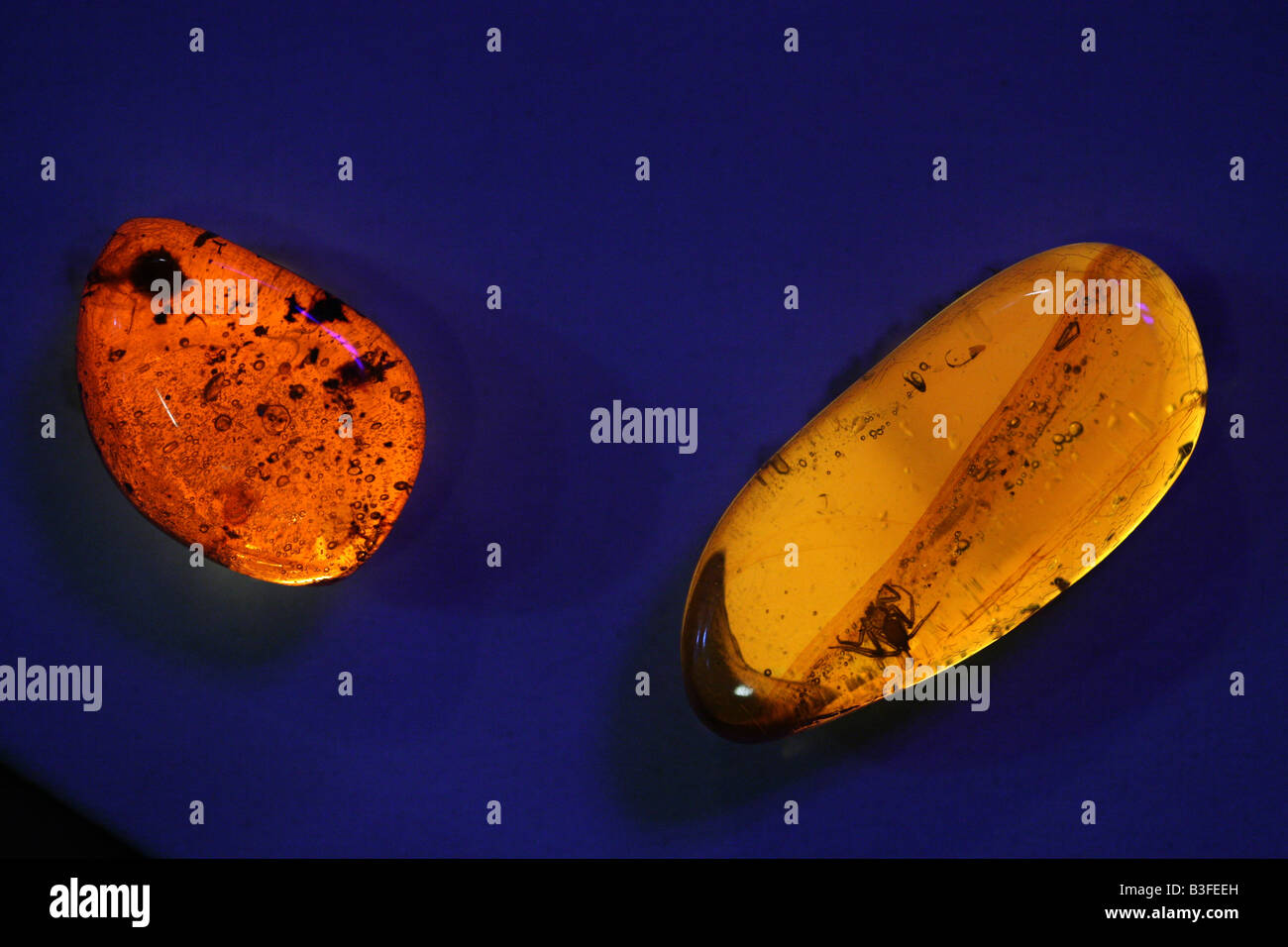 Dominican amber with insects in the museum Mundo del Ambar in Santo ...