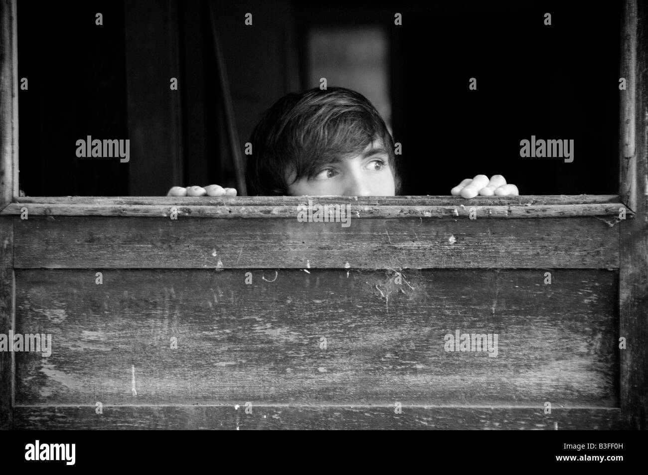 A young man spends time in an old shack writing the next great novel ...