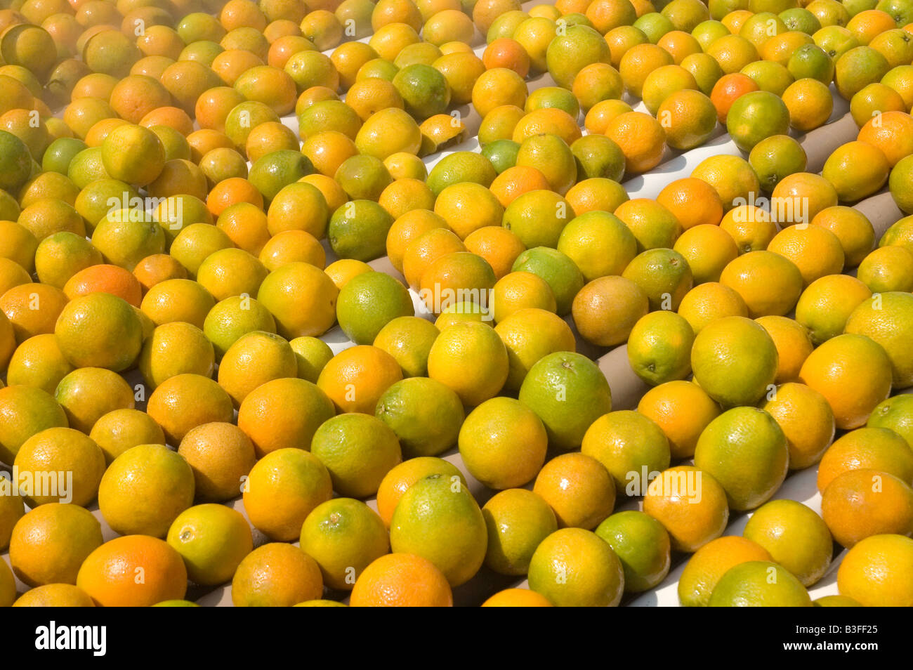 Brazilian oranges hi-res stock photography and images - Alamy