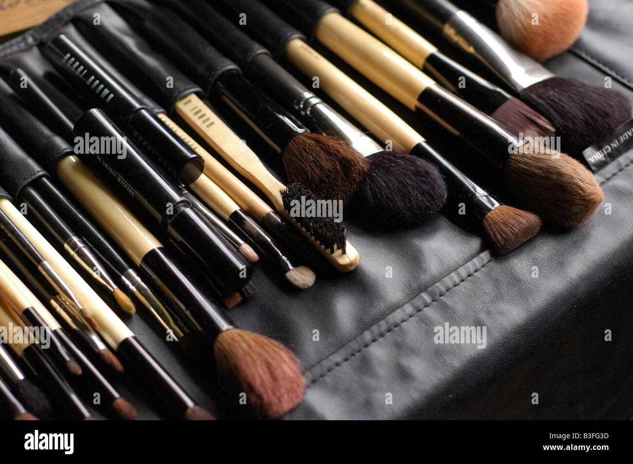 A collection of assorted, professional make-up brushes in a leather ...