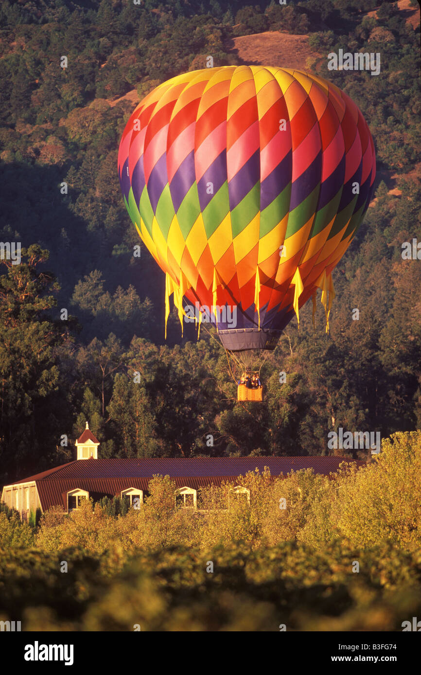 hot air balloon over Niebaum Cappola Estate Winery Napa Valley ...