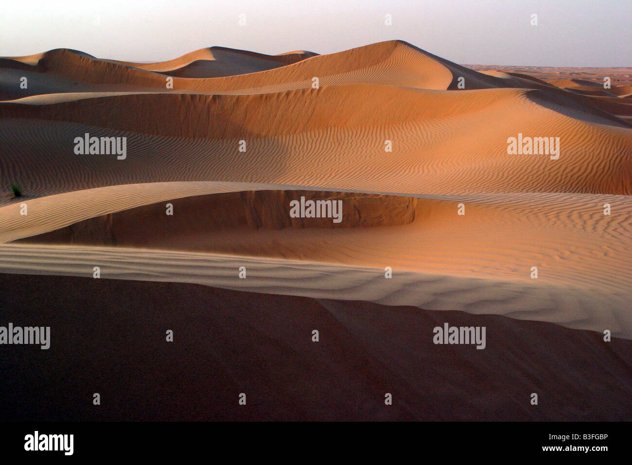 Sand dunes at sunset in Dubai desert Stock Photo - Alamy