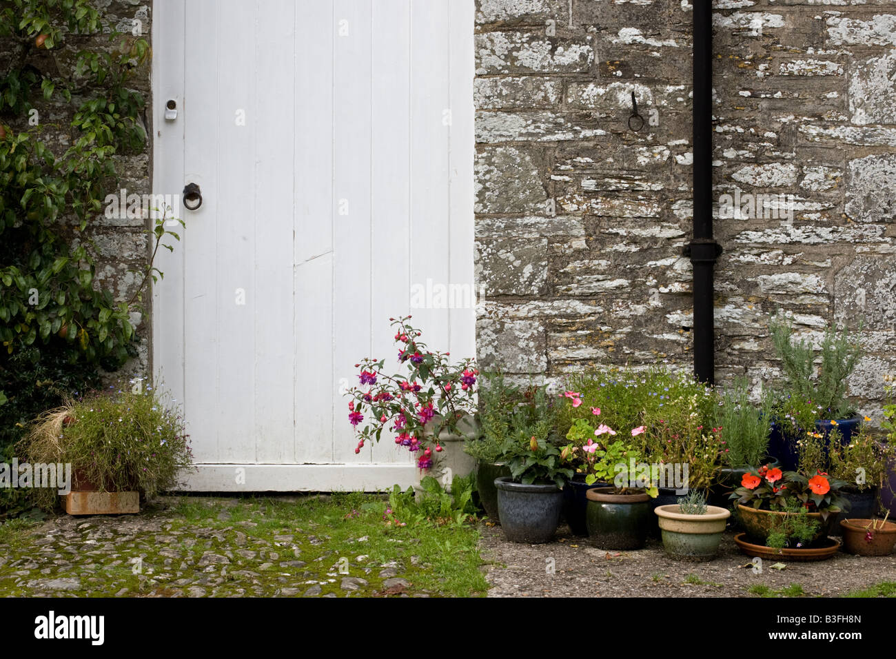 Country cottage door hi-res stock photography and images - Alamy