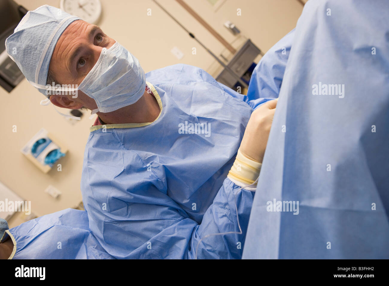 Doctor conducting with egg retrieval procedure Stock Photo - Alamy